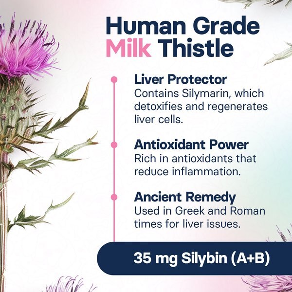 SILYMARINADVANCED S-Adenosylmethionine & Silybin Tablet Liver Health ...