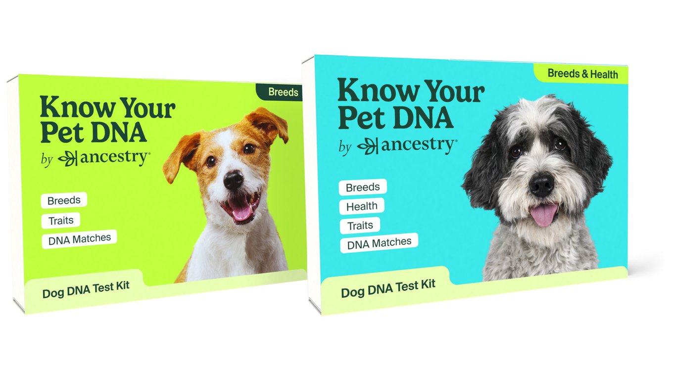 ANCESTRY Breed Identification & Genetic Health Screening DNA Test Kit ...