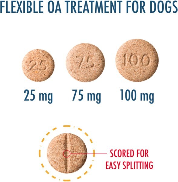 CARPRIEVE (Carprofen) Chewable Tablets, 75mg - Easy Refills | Chewy Rx