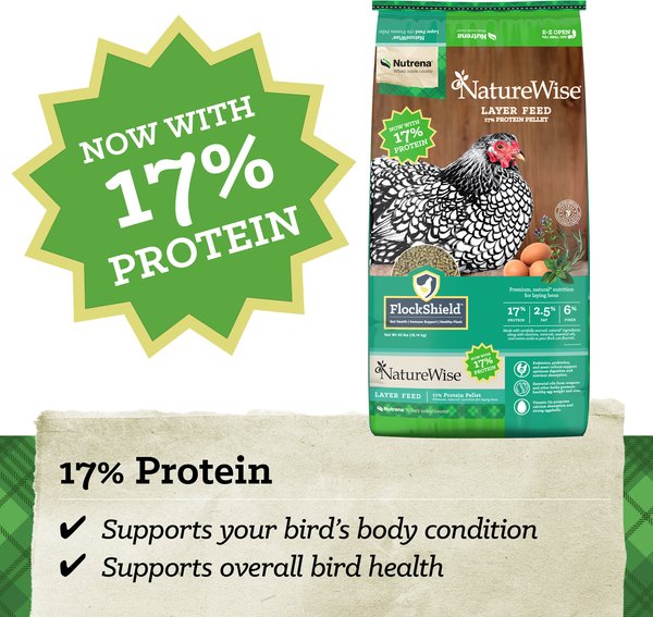NUTRENA NatureWise Layer 17% Protein Pellet Chicken Feed, 40-lb bag ...