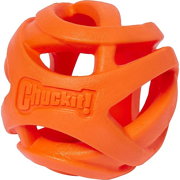 Out of Stock - PET QWERKS Blinky Babble Ball Dog Toy, Large - Chewy.com