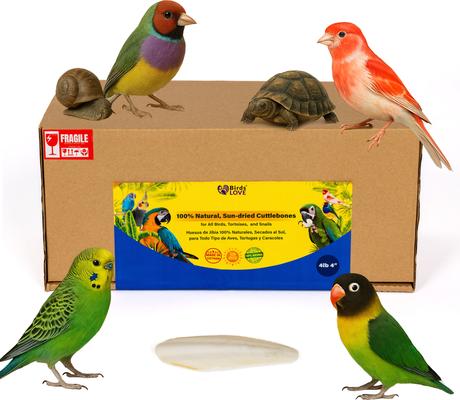 BIRDS LOVE Natural Cuttlebone Calcium Block Supplement for Birds ...