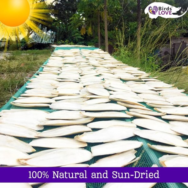 BIRDS LOVE Natural Cuttlebone Calcium Block Supplement for Birds ...