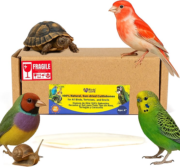 Parakeet Vitamins and Supplements - Chewy