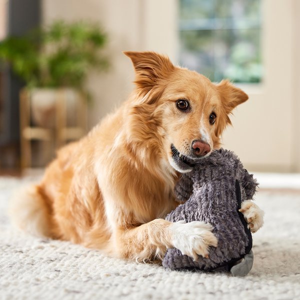 SPUNKY PUP Tough Plush Dog Toy, Gray, Elephant - Chewy.com
