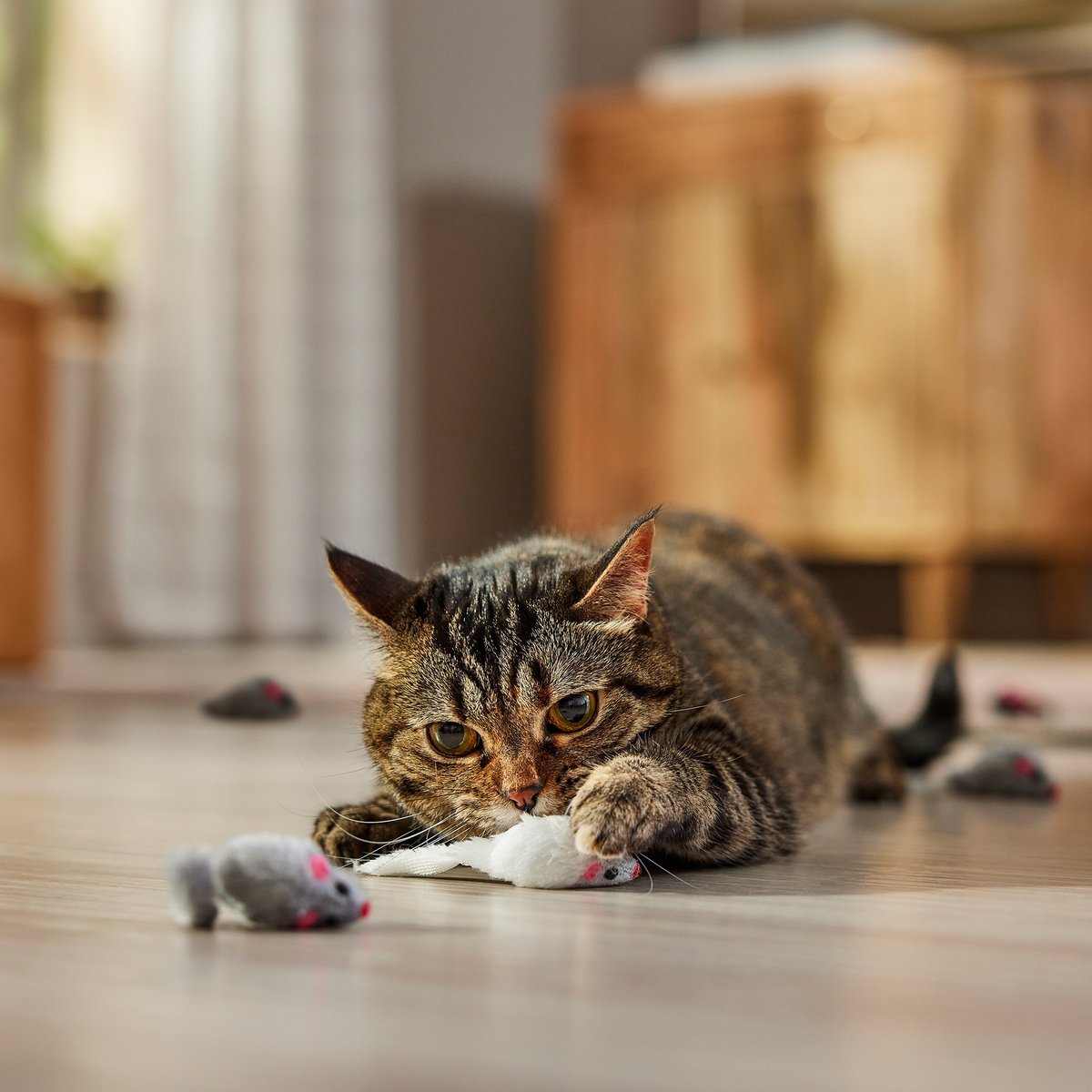 TURBO Assorted Mice Cat Toy, 12 count - Chewy.com