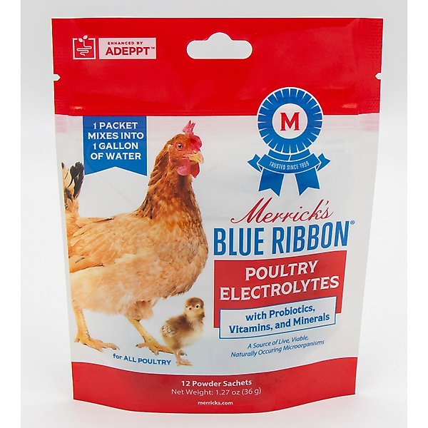 ANIMAL HEALTH SOLUTIONS Chick Boost Probiotics Bird Supplement, 3-oz ...