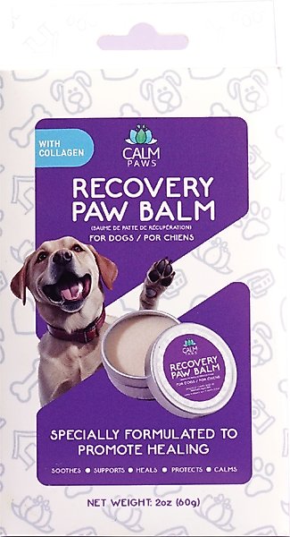 CALM PAWS Recovery Healing & Calming Paw Balm, 2-oz - Chewy.com