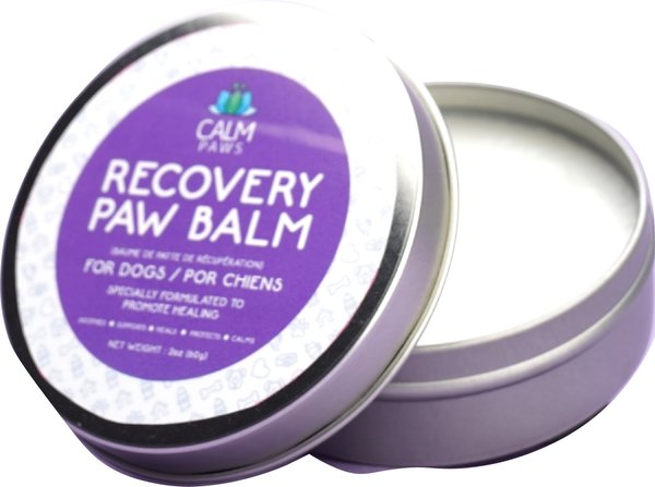 CALM PAWS Recovery Healing & Calming Paw Balm, 2-oz - Chewy.com