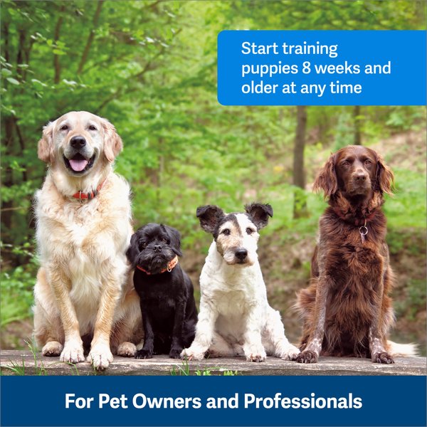 PETSAFE Clik-R Dog Training Tool - Chewy.com
