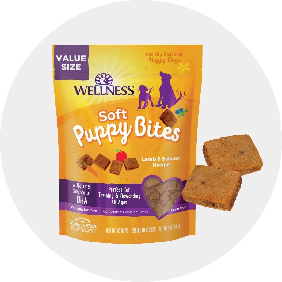 Wellness Food, Treats & Toppers for Dogs - Free shipping | Chewy