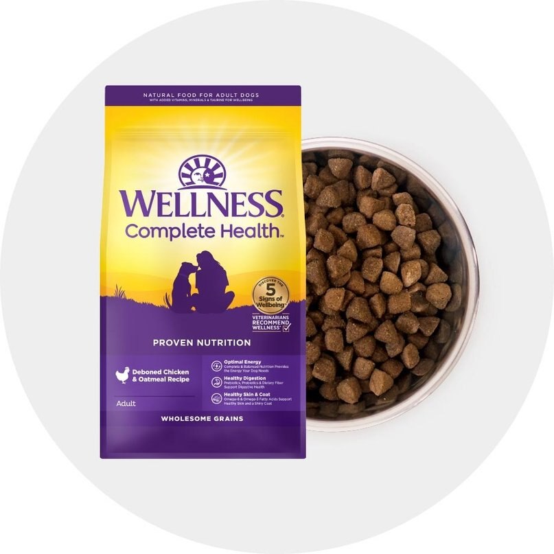 Wellness Food, Treats & Toppers for Dogs - Free shipping | Chewy