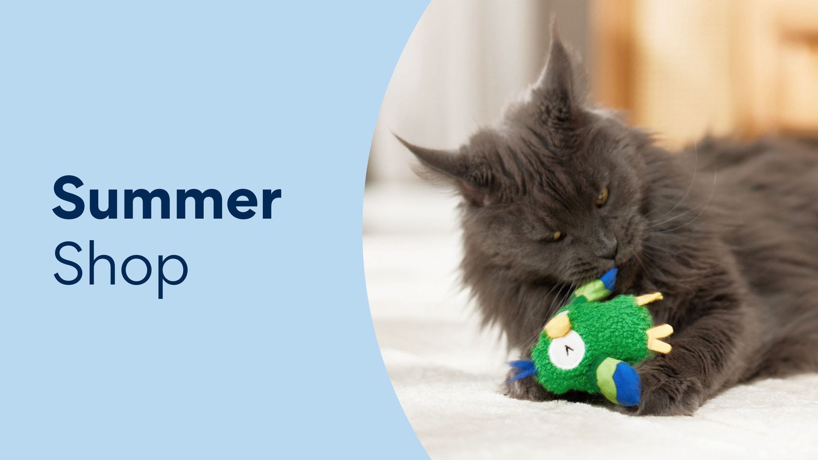 Cat Supplies: Cat Accessories & Products (Free Shipping) | Chewy