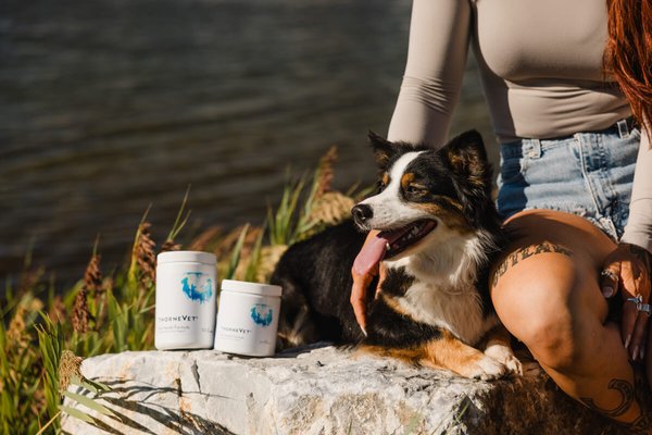 THORNEVET Canine Cognitive Support Chew Supplement for Dogs, 90 count ...