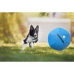 HERDING BUDDY Ball Dog Toy, Blue, 18-in - Chewy.com