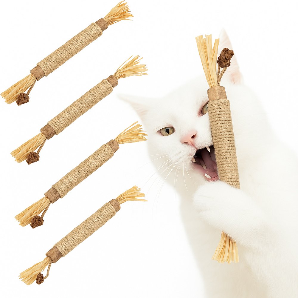 SUNGROW Silvervine Teething Chew Sticks Dental Treat & Feather Cat Toy ...