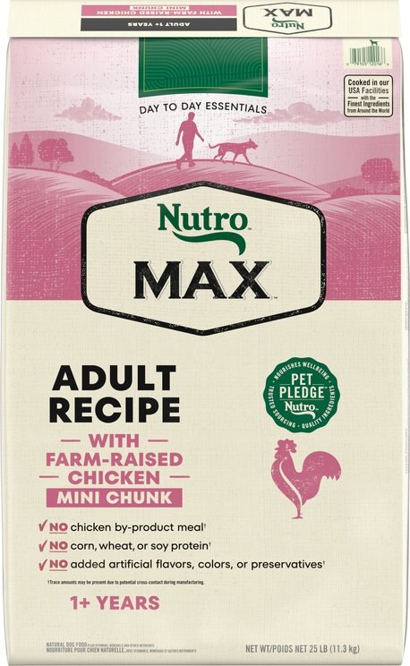 Nutro Dry food for Dogs - Free shipping | Chewy