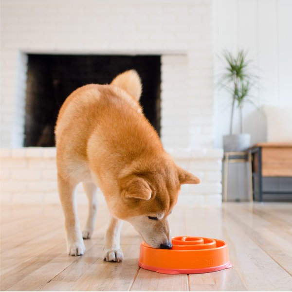 OUTWARD HOUND Fun Feeder Interactive Dog Bowl, Orange, 2 cup - Chewy.com