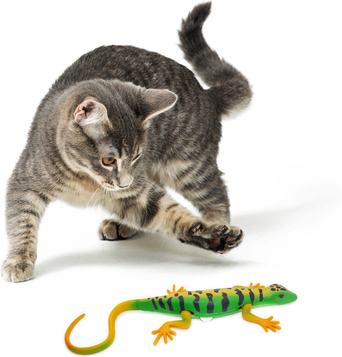 PLAYOLOGY Windup Lizard Cat Toy - Chewy.com