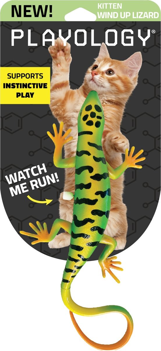 PLAYOLOGY Windup Lizard Cat Toy - Chewy.com