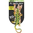 PLAYOLOGY Windup Lizard Cat Toy - Chewy.com