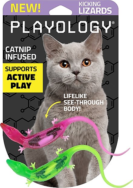 Zoomies Cat Toys (Free Shipping) | Chewy