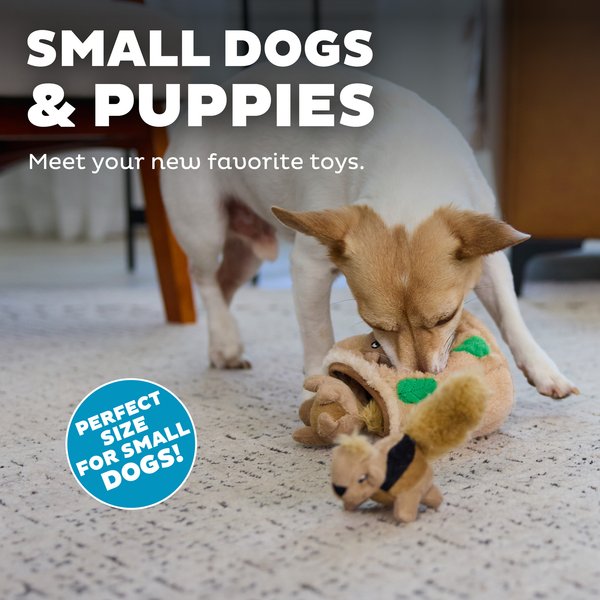 OUTWARD HOUND Replacement Squirrels for Hide A Squirrel Dog Toy, 3 ...