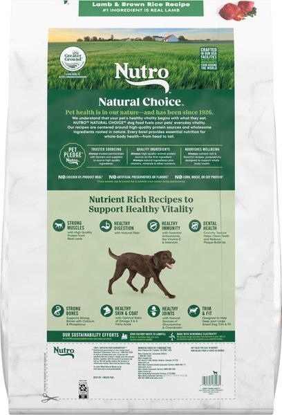 NUTRO Natural Choice Adult Large Breed Lamb & Brown Rice Recipe Dry Dog Food, 36-lb bag - Chewy.com