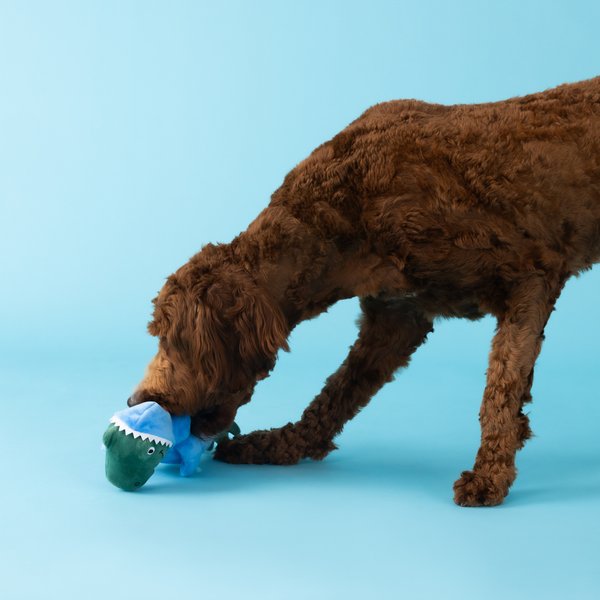 FRINGE STUDIO Shark Rex Plush Dog Toy - Chewy.com