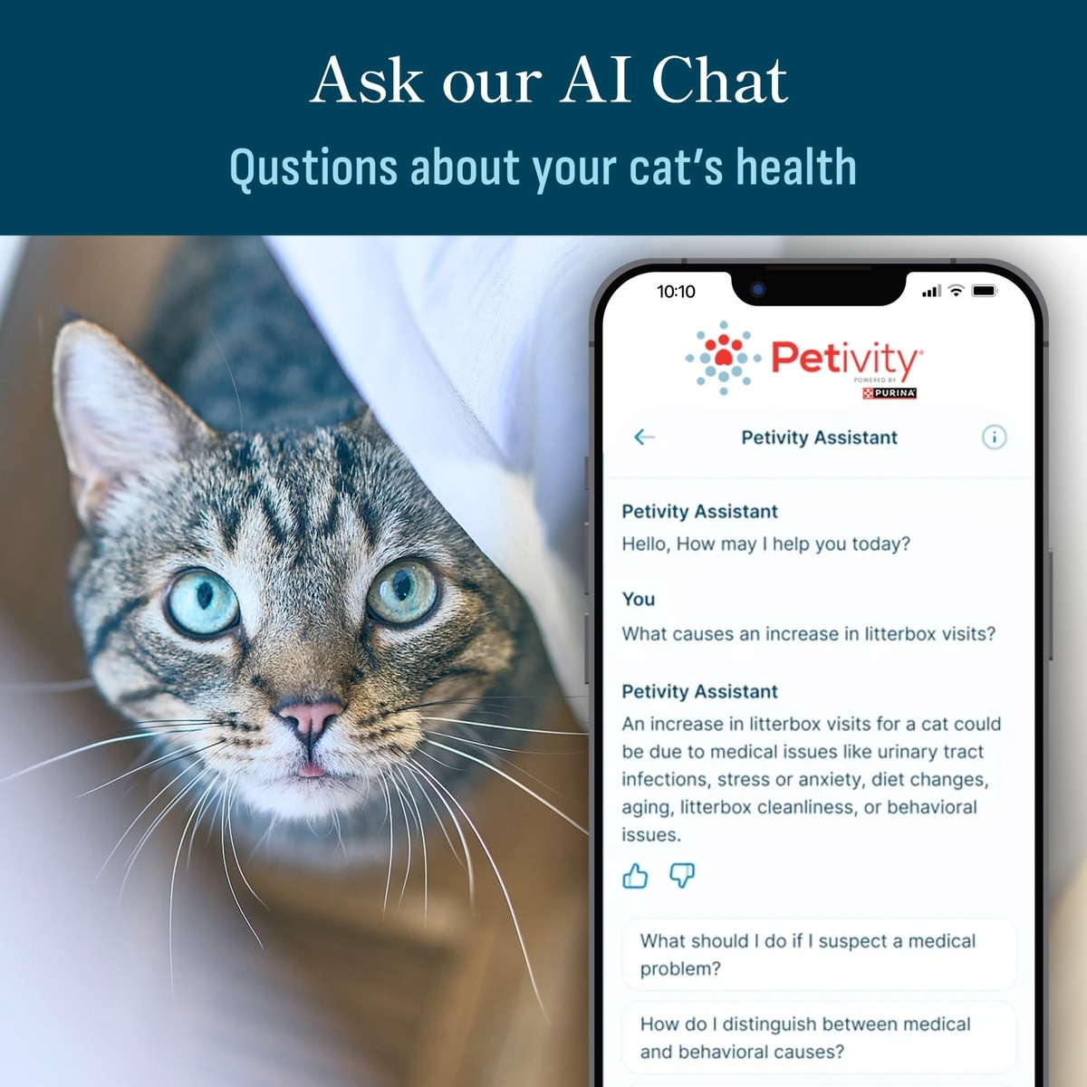PURINA PETIVITY Smart Litterbox Monitor System - Chewy.com
