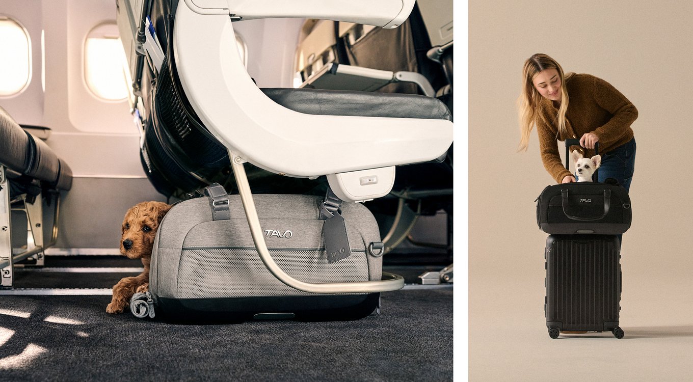 TAVO PETS Dupree II Airline Carry-On Dog & Cat Car Seat, Merle - Chewy.com