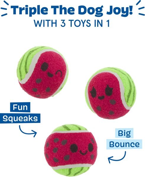 BARK Baller Melons Dog Plush Toy, Small - Chewy.com