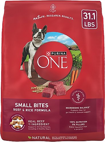 Purina ONE Dog Food - Free Shipping | Chewy