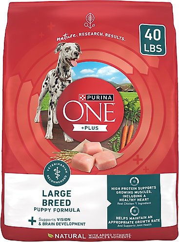Purina ONE Dog Food - Free Shipping | Chewy