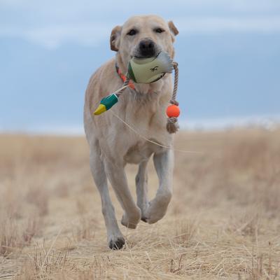 BROWNING Rubber Duck Dog Rope Toy - Chewy.com