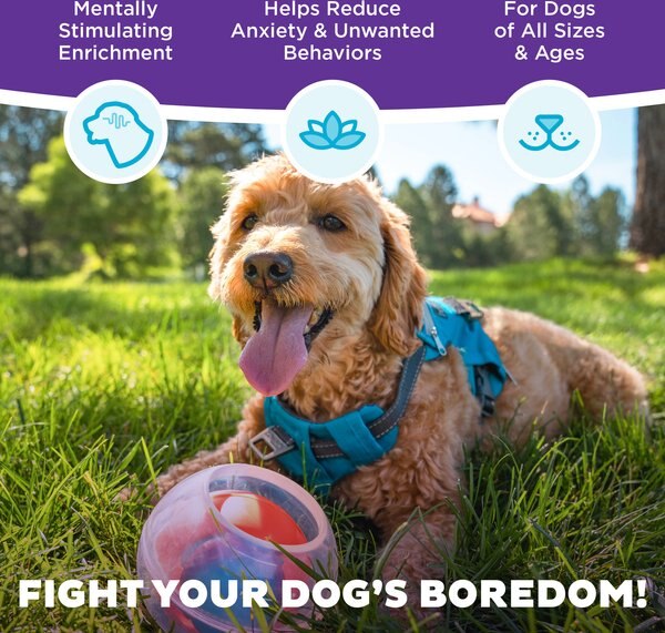 OUTWARD HOUND Dog Rumble Puzzle Ball Puzzle & Treat Maze Interactive ...