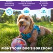 OUTWARD HOUND Dog Rumble Puzzle Ball Puzzle & Treat Maze Interactive ...