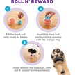 OUTWARD HOUND Dog Rumble Puzzle Ball Puzzle & Treat Maze Interactive ...