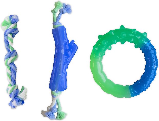 Dog Chewing Up Toys (Free Shipping) | Chewy