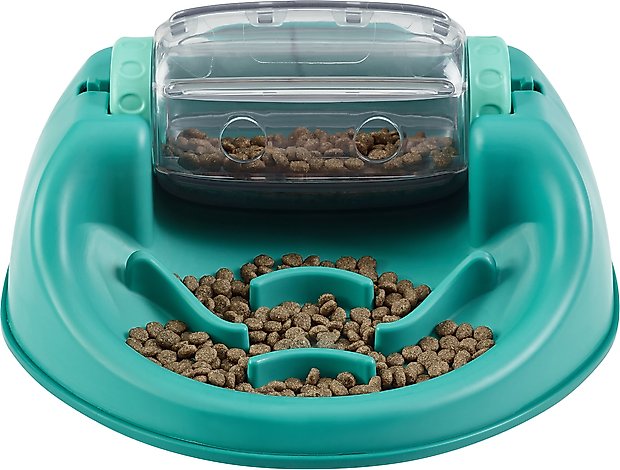 Puzzle Feeders (Free Shipping) | Chewy