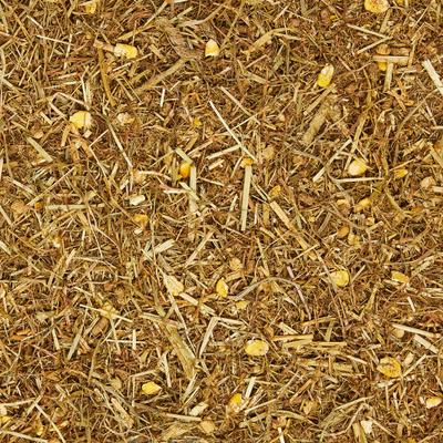 Discontinued - KENT / BLUE SEAL Winning Fill Cattle Feed, 50-lb bag ...