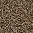 UNBEETABLE FEEDS Beet Pulp Low Sugar Pellets Horse Feed, 50-lb bag ...