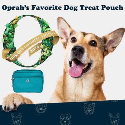 PUPPINGTON 3-in-1 Crossbody Dog Walking Bag & Treat Pouch with Matching ...