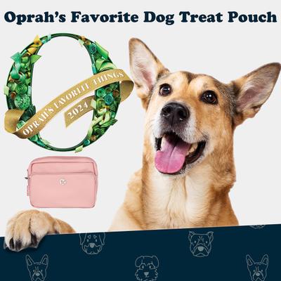 PUPPINGTON 3-in-1 Crossbody Dog Walking Bag & Treat Pouch with Matching ...
