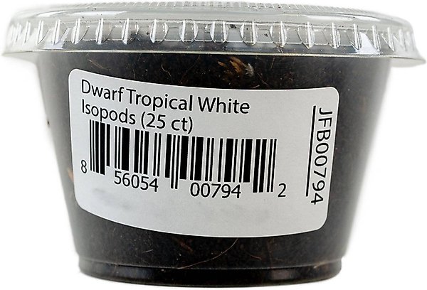 JOSH'S FROGS Bioactive Bundle Live Feed Reptile Food: Dwarf Tropical ...