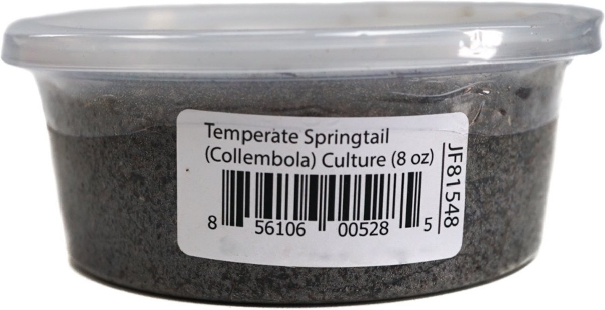 JOSH'S FROGS Bioactive Bundle Live Feed Reptile Food: Dwarf Tropical ...