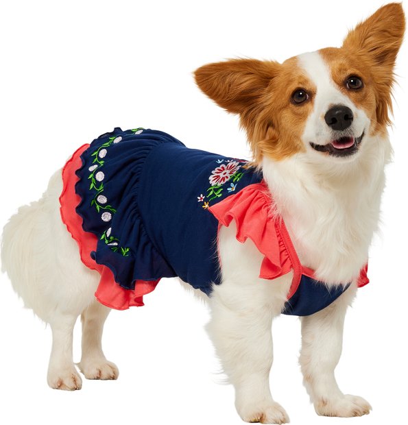 Summer Dog Clothing - Free shipping | Chewy