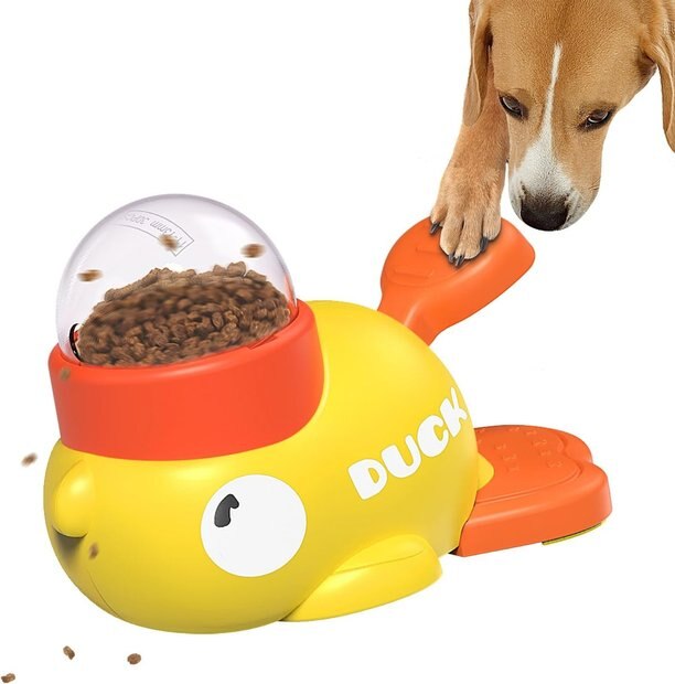 Puzzle Feeders (Free Shipping) | Chewy
