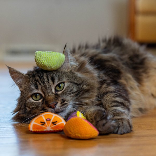 Temporarily Unavailable - CATSTAGES Dental Fruit Wedges Cat Plush Toy ...