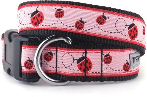COLLARS FOR EXTRA SMALL DOGS (Free Shipping) | Chewy